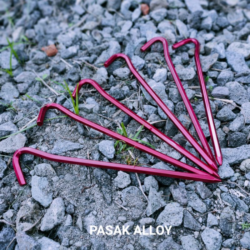 Jual Pasak Tenda Alumunium Alloy Segi 6 Y Stake Ringan Kokoh | Shopee ...