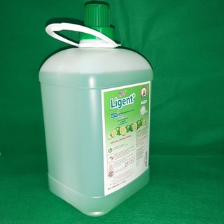 Jual LIGENT Dishwasing Liquid Aroma Lime Aloe Vera, Galon | Shopee ...