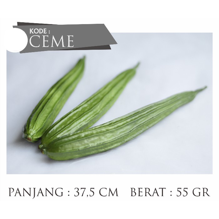 Jual Sayur Ceme Termemes Gambas Fuji Artificial Artifisial Buatan ...