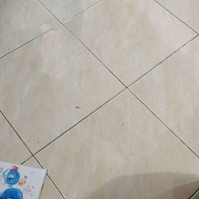 Nyamnyam Kitchen - Khew Nyuk / Babi Hong (Kemasan 1/2 KG) | Shopee ...