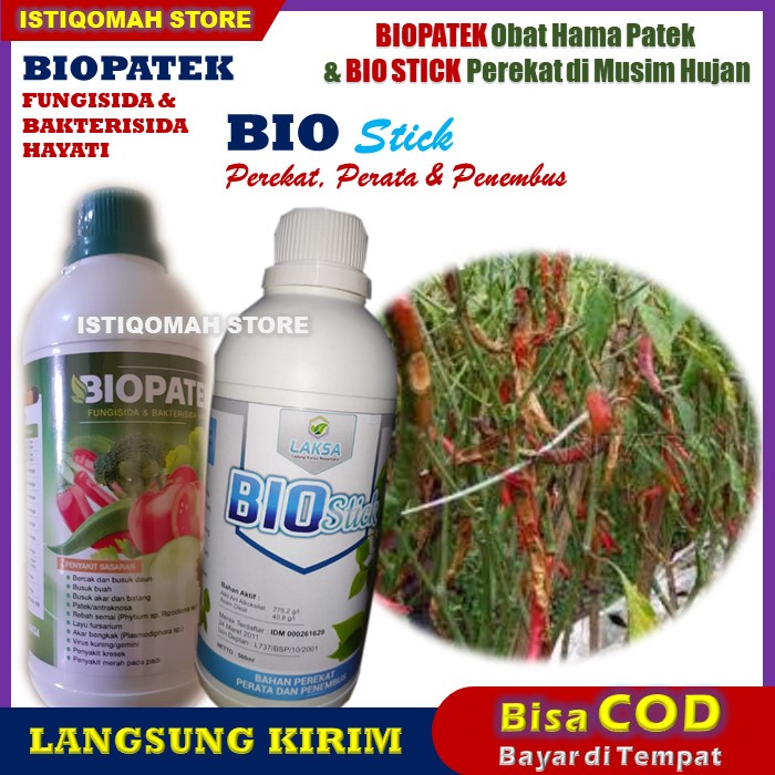 Jual BIOPATEK + BIO STICK Perekat di Musim Hujan - Fungisida Bio Patek ... Jual BIOPATEK + BIO STICK Perekat di Musim Hujan - Fungisida Bio Patek ...