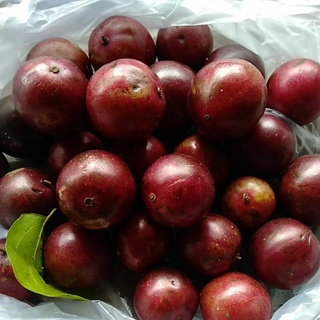 Jual Rukam Rukem buah segar | Shopee Indonesia