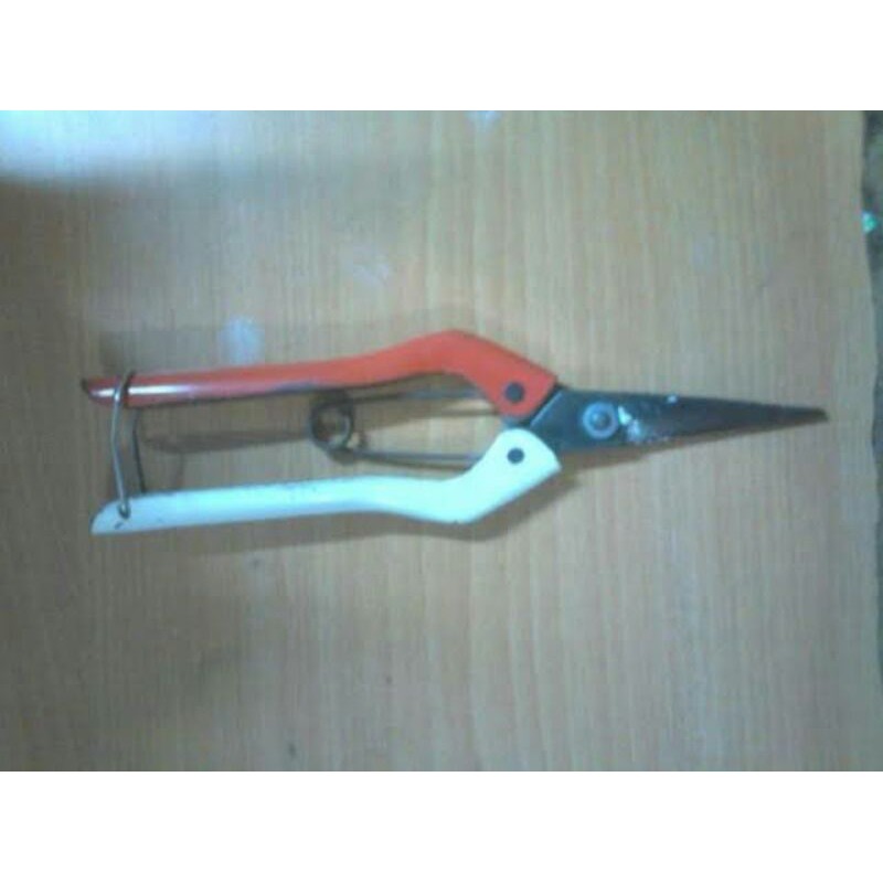 Jual GUNTING ROTAN LANCIP MERAH PUTIH | Shopee Indonesia