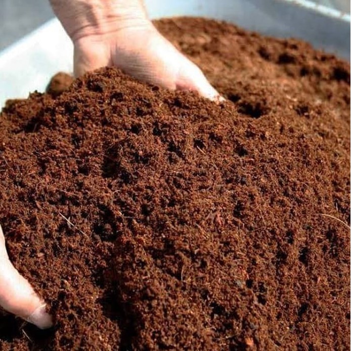Jual Media Tanam Cocopeat / Kokopit / Cocopit + Vit B1 Kemasan 1 Kg ...