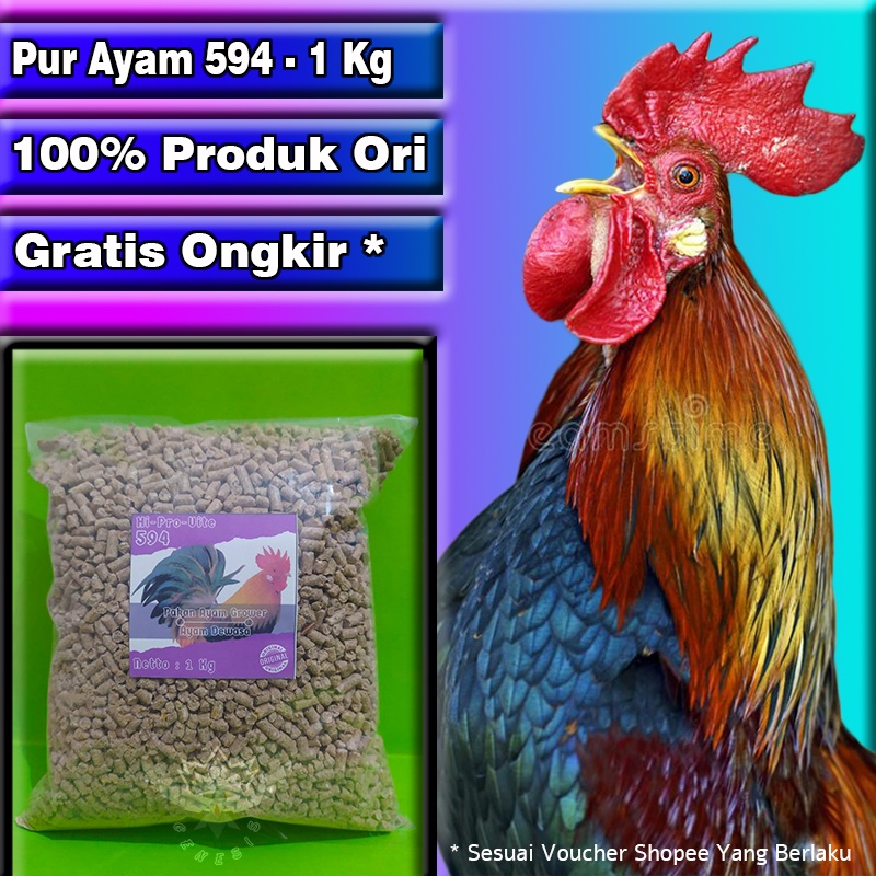 Jual Pur Ayam 594 - Pakan Ayam Bangkok 100% Original CP Repack 1 Kg ...