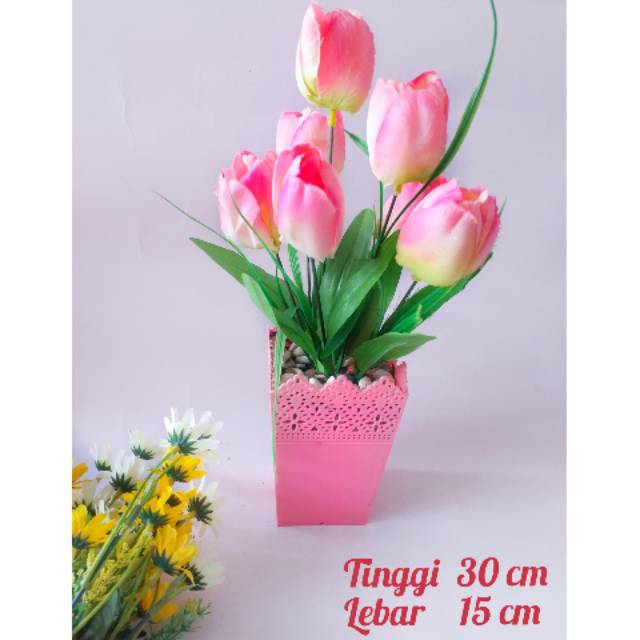 50+ Gambar Bunga Tulip Pink yang Mantul! - Informasi Seputar Tanaman Hias