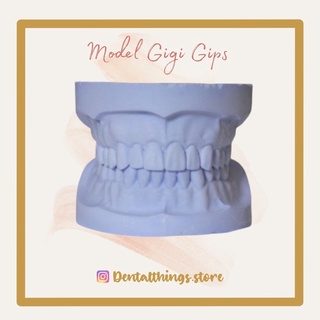 Jual dental model study gips / model gigi gips / model study gipsum ...