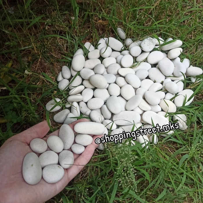 Jual BATU CORAL KUPANG 1 kg - Koral putih hias taman kebun tanaman ...