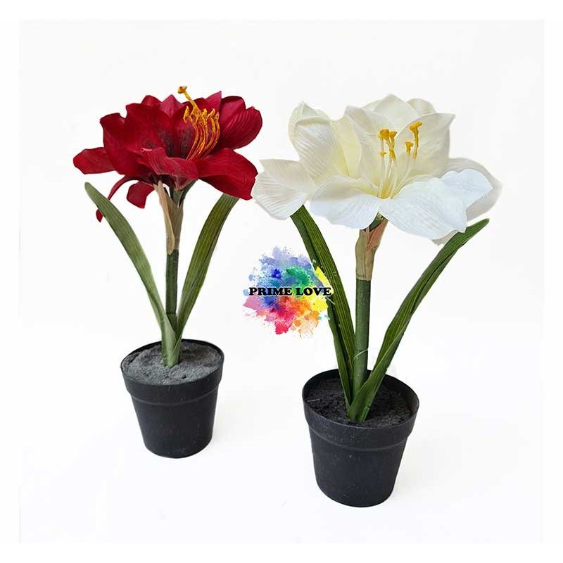 Jual Rangkaian Vas Bunga Clivia Dekorasi Meja Tamu Vb52 Shopee