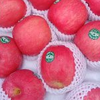 Jual BUAH APEL WANGSHAN FRESH / APEL WANGSAN PREMIUM SUPER 1 KG ...