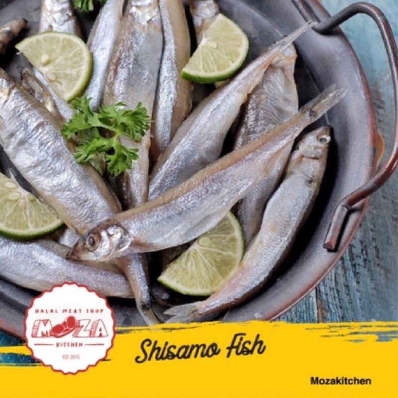 Jual SHISAMO FISH (Ikan Capelin) Indonesia|Shopee Indonesia