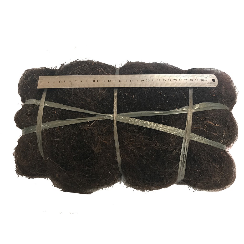 Jual Ijuk Resapan Murah - Serabut Injuk Aren untuk Resapan Air | Shopee ...