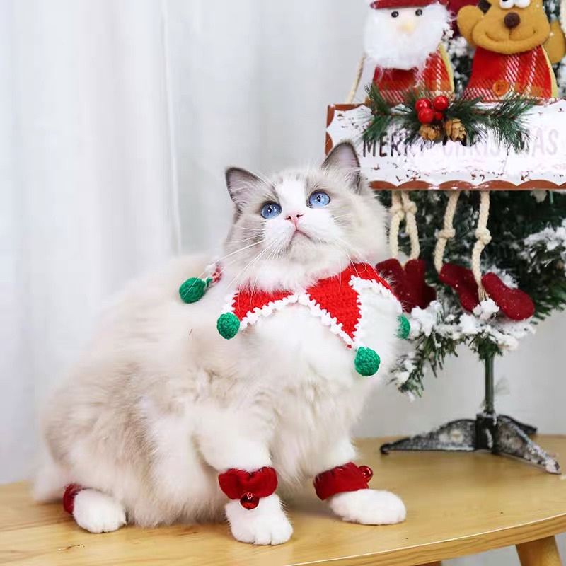 Jual Neck acc (Star) | Shopee Indonesia