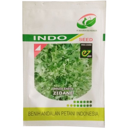 Jual Benih Selada endive Lettuce Endive Enza Zaden | Shopee Indonesia