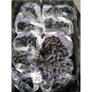Jual Buah Anggur Hitam Sweet Sapphire Moondrops Seedless | Shopee Indonesia