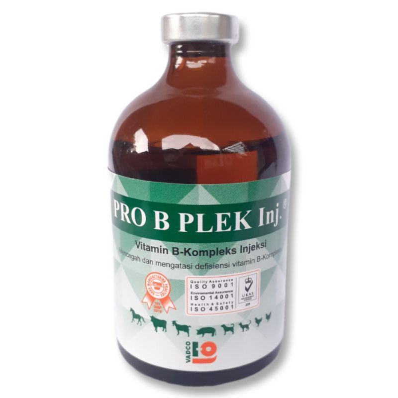 Jual PRO B PLEK INJ VIT B KOMPLEK SUNTIK | Shopee Indonesia
