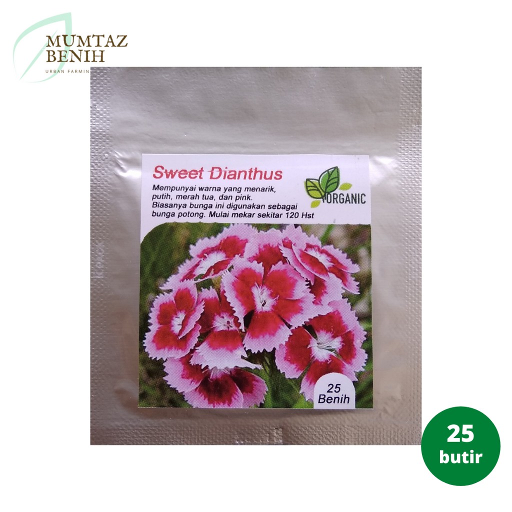 Jual Benih Bunga Sweet Dianthus (Organic) | Shopee Indonesia