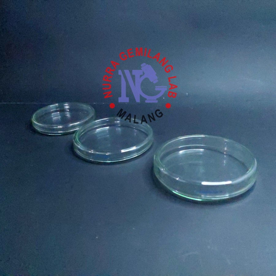 Jual Cawan Petri 100x20 mm Normax / Petridish Kaca 100x20 mm Normax ...