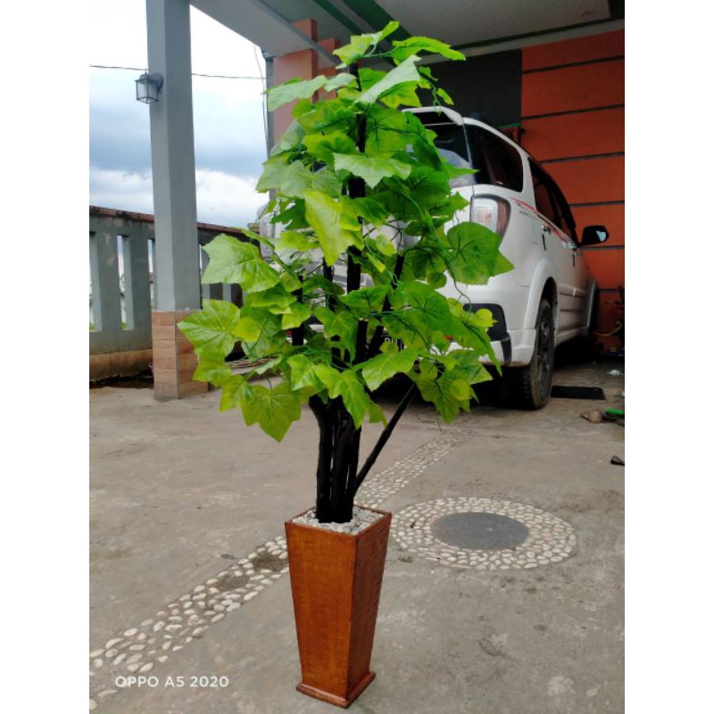 Jual Bunga Hias/Pojok Ruangan/Daun Anggur 100cm Indonesia|Shopee Indonesia