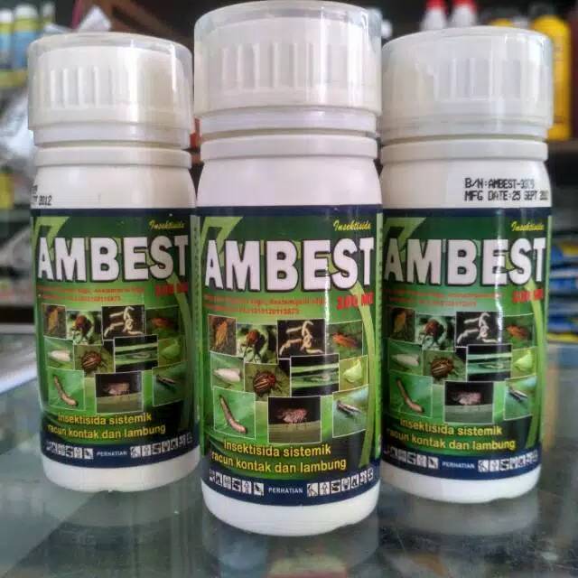 Jual Ambest 100 ME Insektisida 100 ml | Shopee Indonesia
