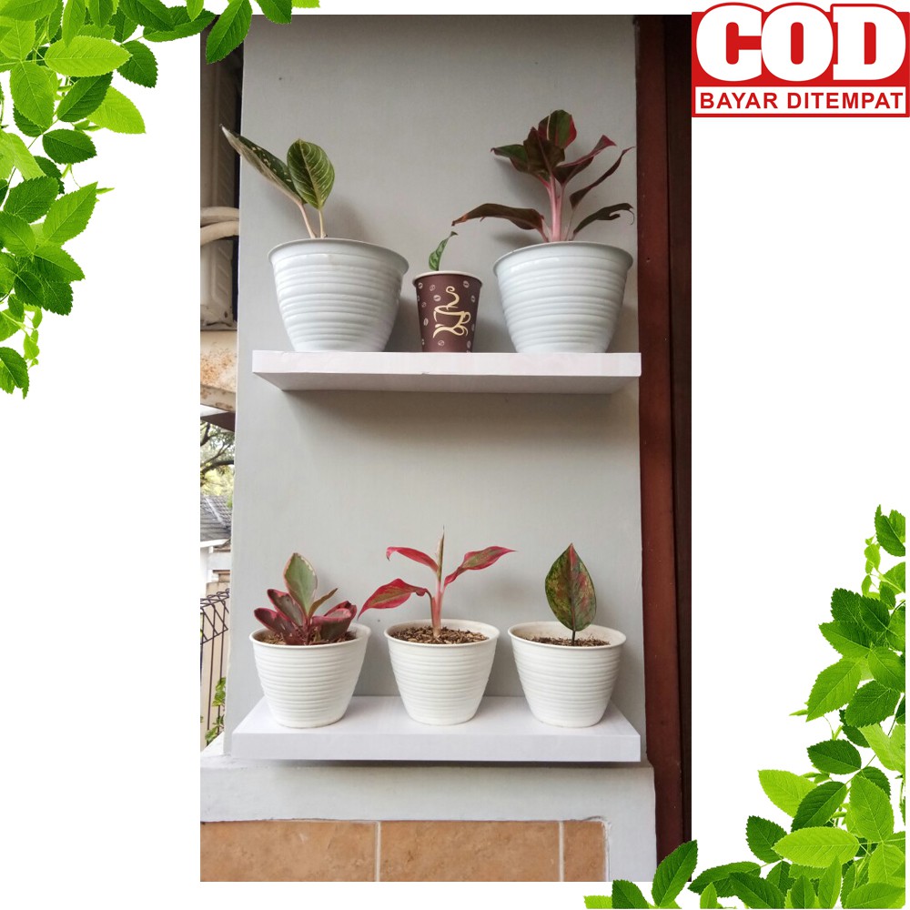 Jual Rak Bunga Minimalis Kayu Tempel Dinding (Free braket besi kuat ...