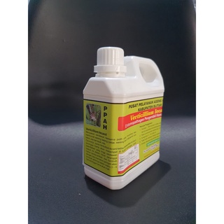 Jual Agen Hayati Cendawan Entomopatogen Verticillium Lecanii Pengendali ...