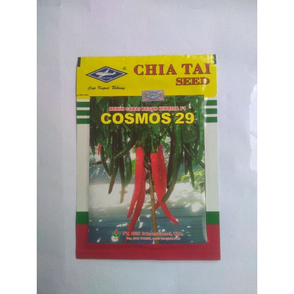 Jual Bibit Benih cabai besar Hibryda COSMOS 29 isi 10 gr | Shopee Indonesia