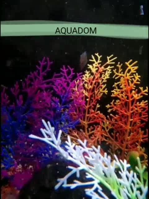 Jual HIASAN AKUARIUM AKAR LAUT TANAMAN PLASTIK AQUASCAPE RUMPUT ...