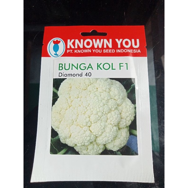 Jual Bibit tanaman sayur bunga kol putih coleus rainbow/ marigold ...