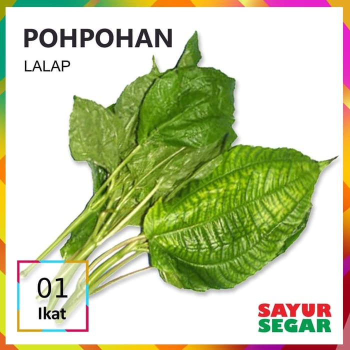 Jual Daun Pohpohan Segar - Lalap [1 Ikat] | Shopee Indonesia