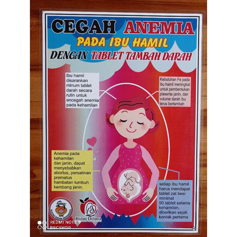 Jual (149) POSTER CEGAH ANEMIA | Shopee Indonesia