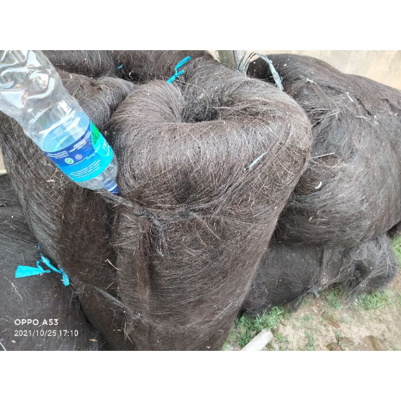 Jual Ijuk atau Injuk aren | Shopee Indonesia