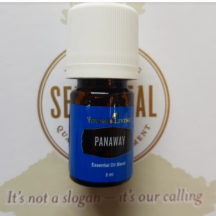 Harga Panaway Terbaru Desember 2022 |BigGo Indonesia