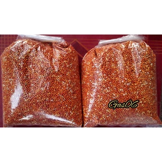 Jual (250 GRAM) BIJI JEWAWUT/JUWAWUT/JAWAWUT/FOXTAIL MILLET/BIJI KUNYIT ...