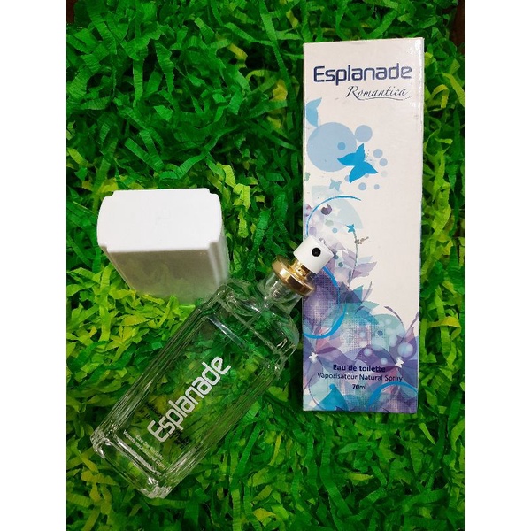 Produk Aroma Wijaya | Shopee Indonesia