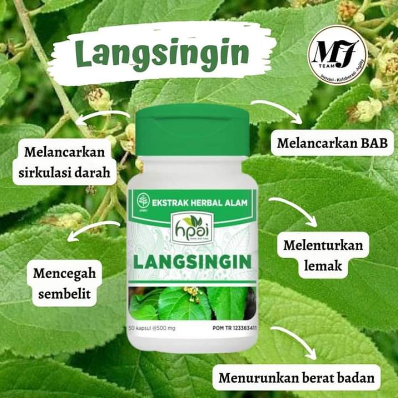 Jual LANGSINGIN HNI HAPI | Shopee Indonesia
