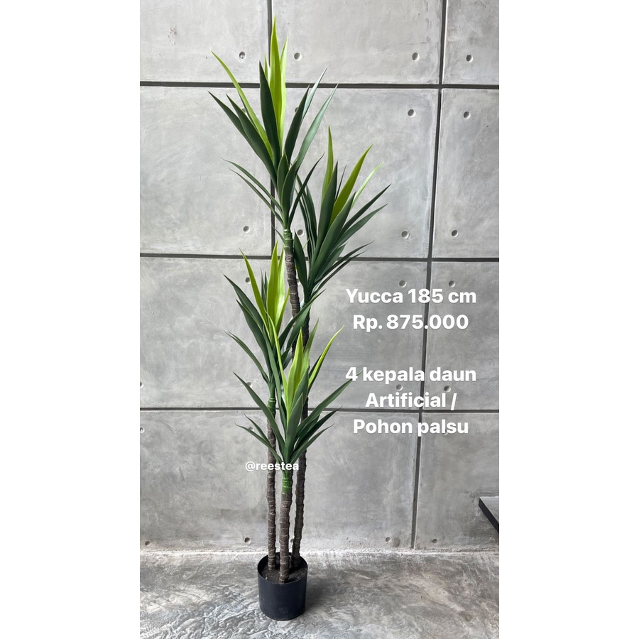 Jual Pohon Yucca Tinggi 185cm / Pohon Hias Palsu / Artificial plant ...