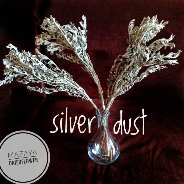 Jual Silver dust (1 batang) | Shopee Indonesia