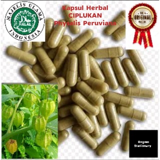 Jual Kapsul bubuk Ciplukan herbal jamu obat curah 100 butir | Shopee ...