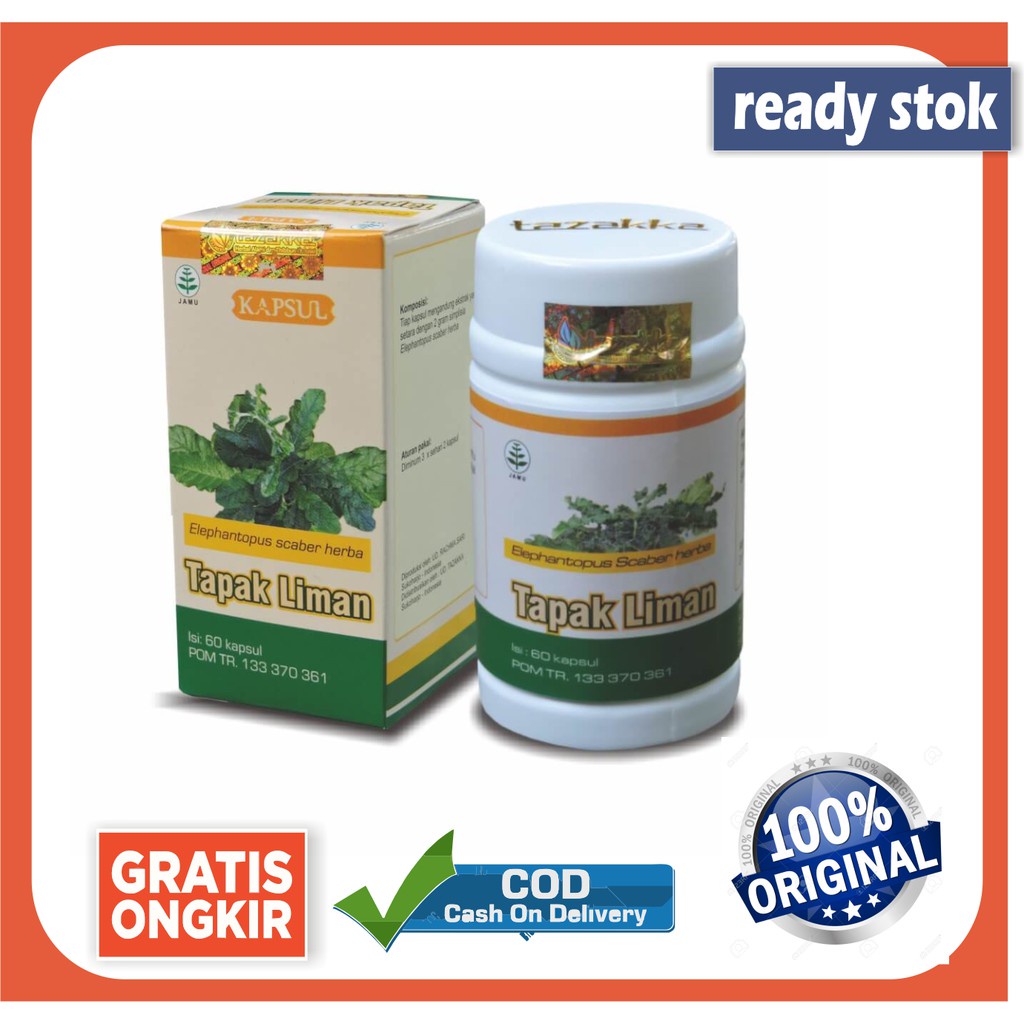 Jual Daun Tapak Liman Ekstrak Tazakka 60 Kapsul Obat Liver Antiradang ...