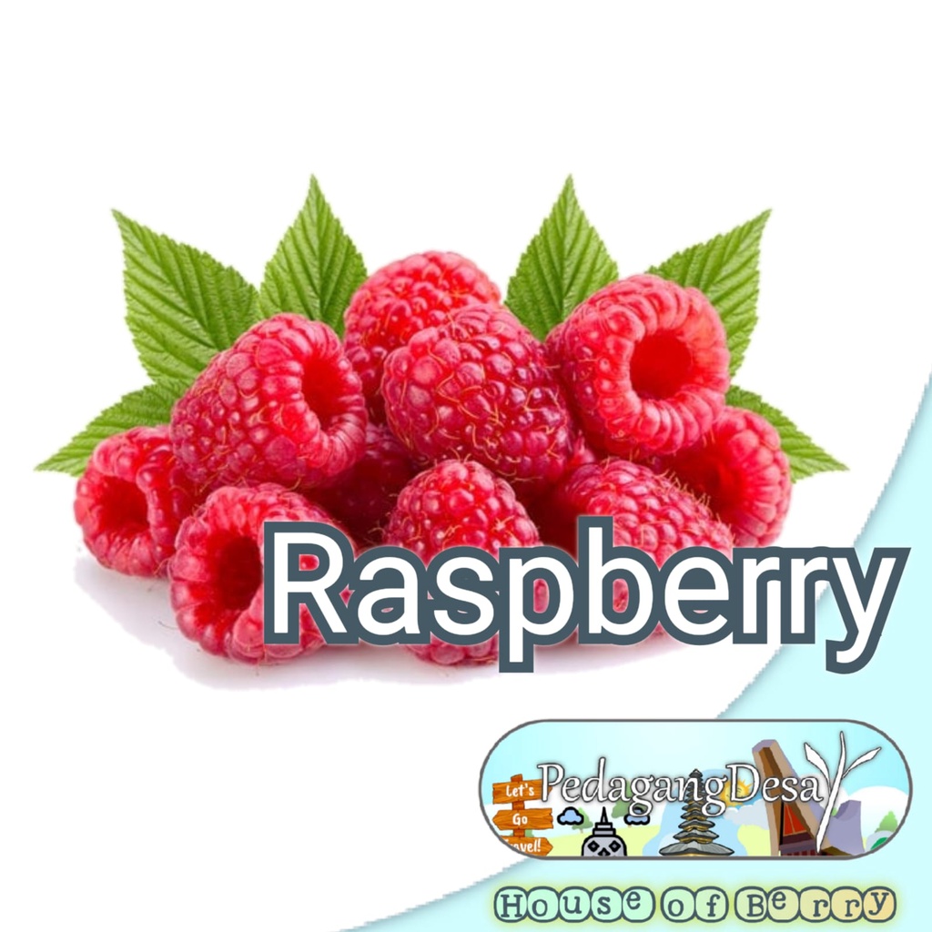Jual Raspberry | Benih Bibit Import Super Dataran Rendah / Tinggi ...