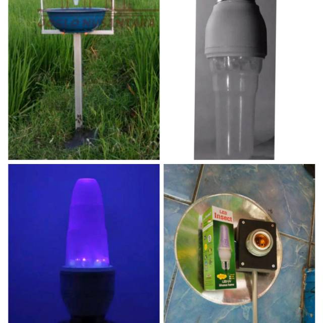 Jual LAMPU HAMA, LTI LIGHT TRAP INSECT TENAGA SURYA Indonesia|Shopee ...