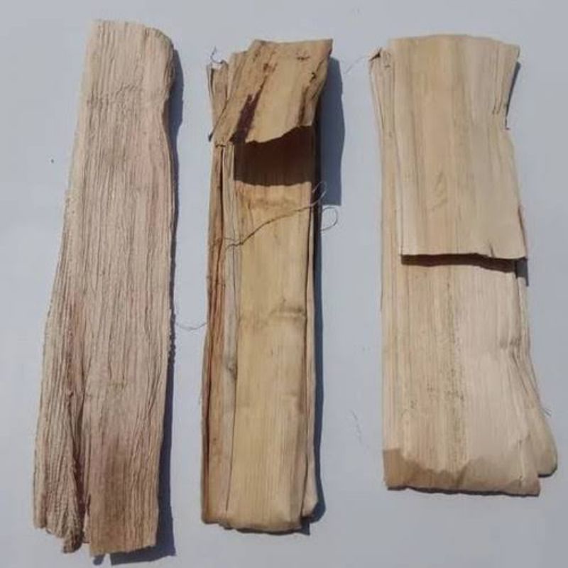 Jual pelepah pohon pisang kering untuk kerajinan isi 25 lembar | Shopee ...