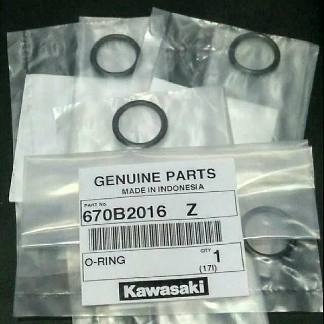 Harga Seal O Ring Ninja RR Original Terbaru Feb 2025 | BigGo Indonesia
