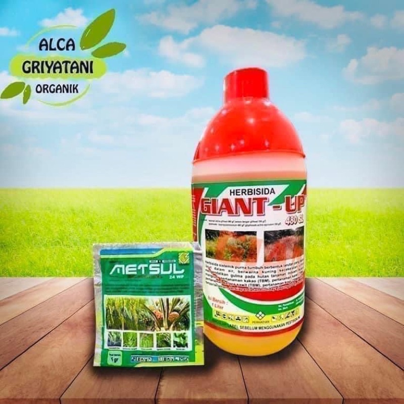 Jual herbisida giant up 480SL 1 liter grosir 20 botol bonus metsul 24wp ...