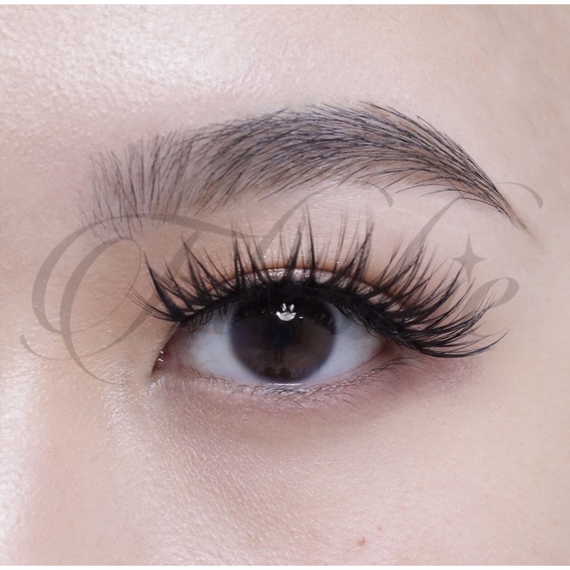 Jual SIREN lashes (lash only, baca deskripsi) | Shopee Indonesia
