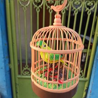 Jual Mainan burung tepuk burung sangkar | Shopee Indonesia