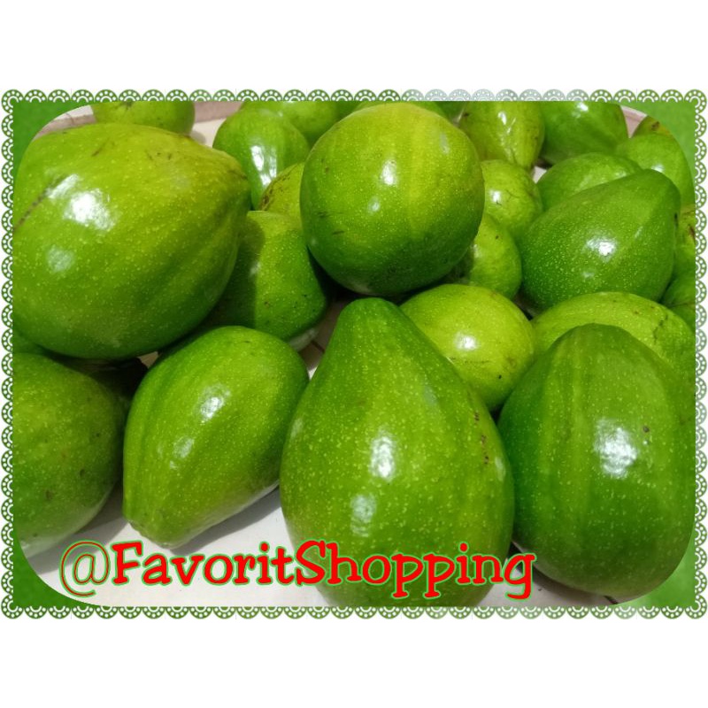 Jual Alpukat Mentega Singkawang Asli 100% | Shopee Indonesia