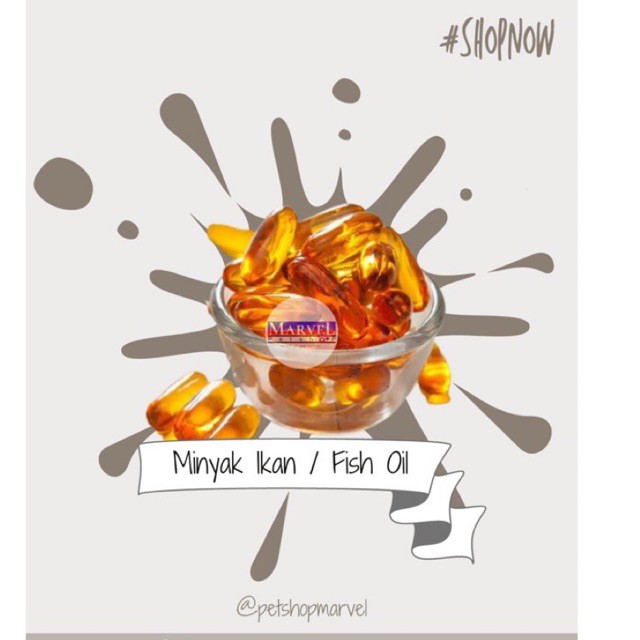 Jual Minyak Ikan/ Fish Oil Botol | Shopee Indonesia