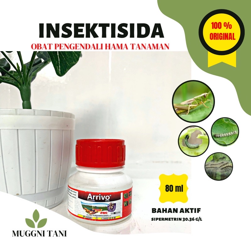 Jual ARRIVO 30 EC 80 ML - INSEKTISIDA OBAT PEMBASMI HAMA TANAMAN ULAT ...